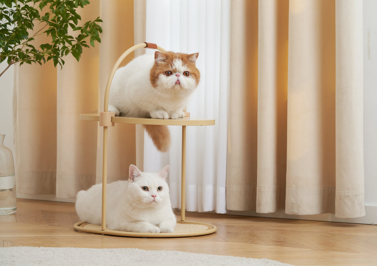 The Wildest: Have You Ever Seen a Chicer Scratching Post? – makesurepet